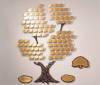 Donor Tree Recognition Projects | US Bronze