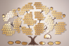 Donor Tree Recognition Projects | US Bronze